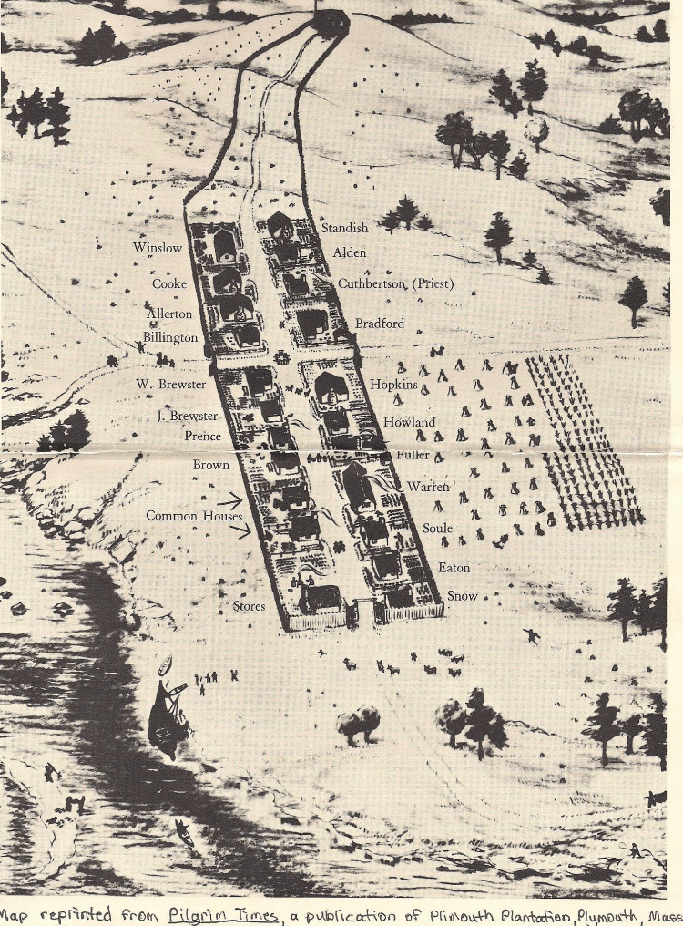 Week 7: Immigration – Tempest in a Teapot – Polynose Genealogy